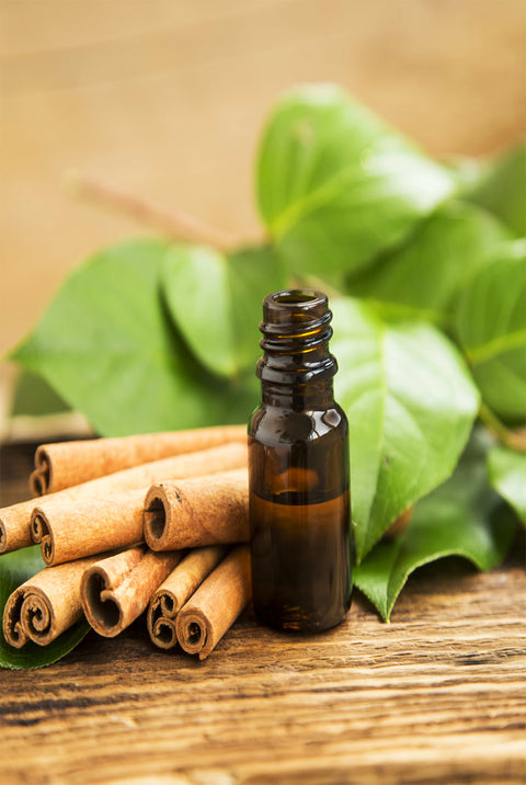 Cinnamon Leaf Essential Oil, 100% Pure, Natural & Undiluted